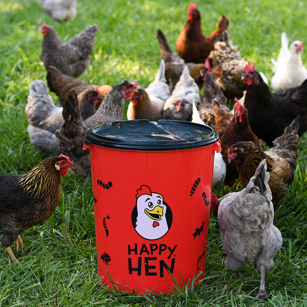 Happy Hen Bucket – Happy Hen Treats