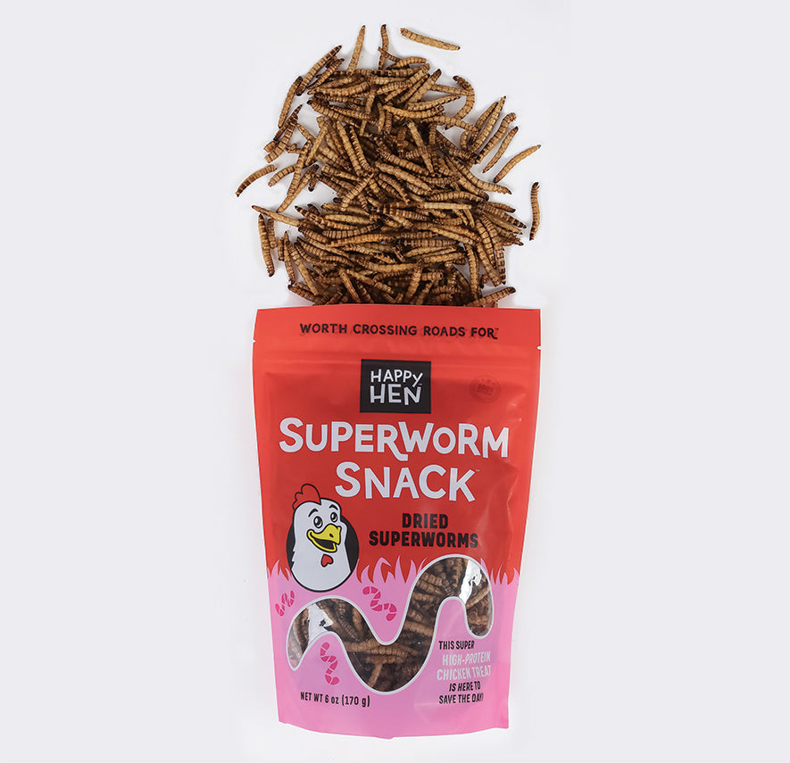 Superworm Snack™ – Happy Hen Treats